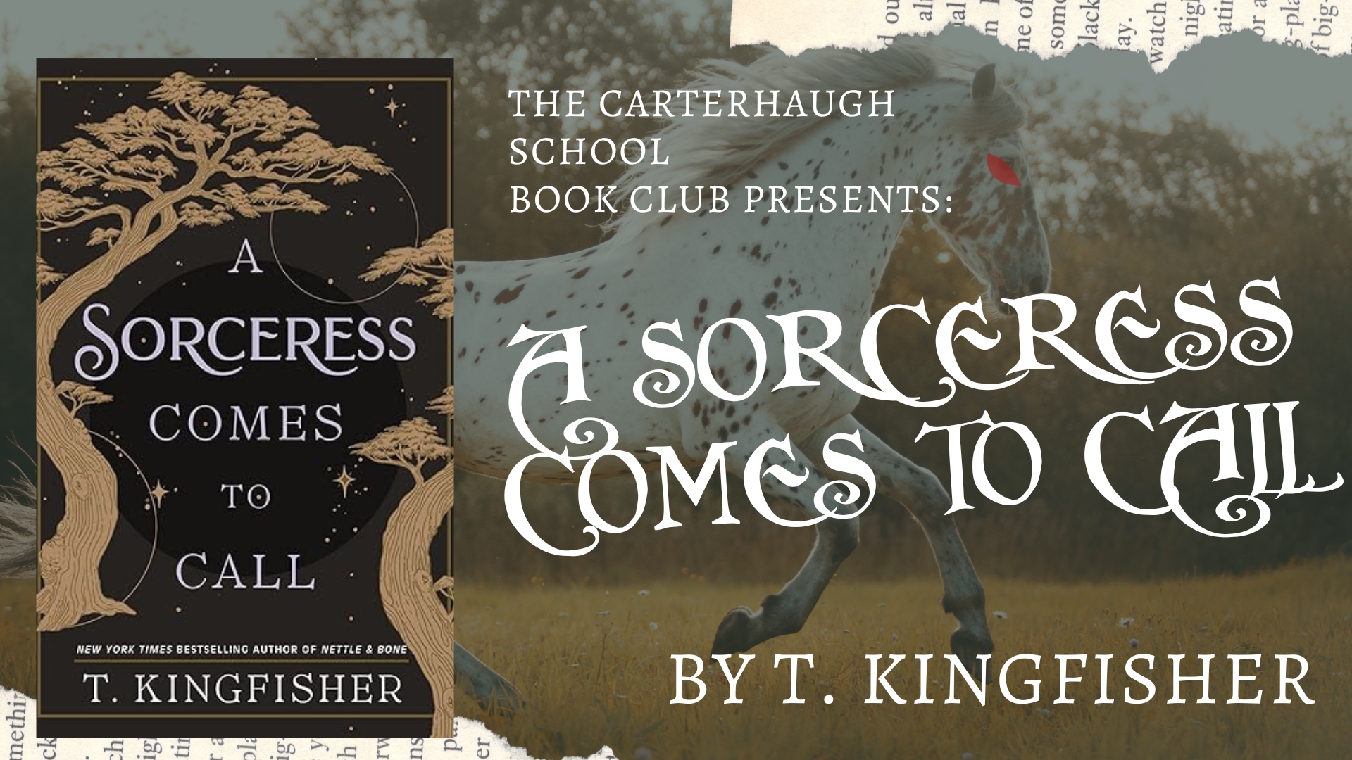 The October Book Club - A Sorceress Comes To Call by T. Kingfisher ...
